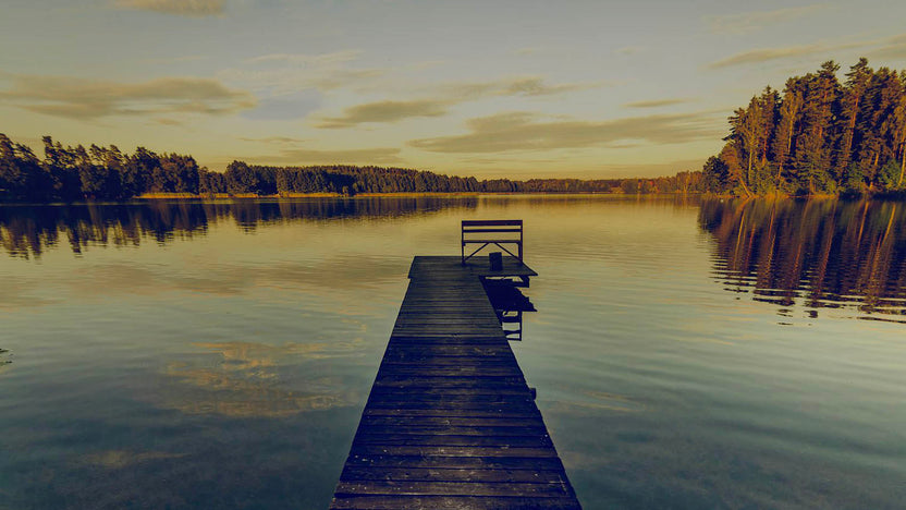 Viktor Skol Sticker - Purple/Gold – 218 Clothing + Gift